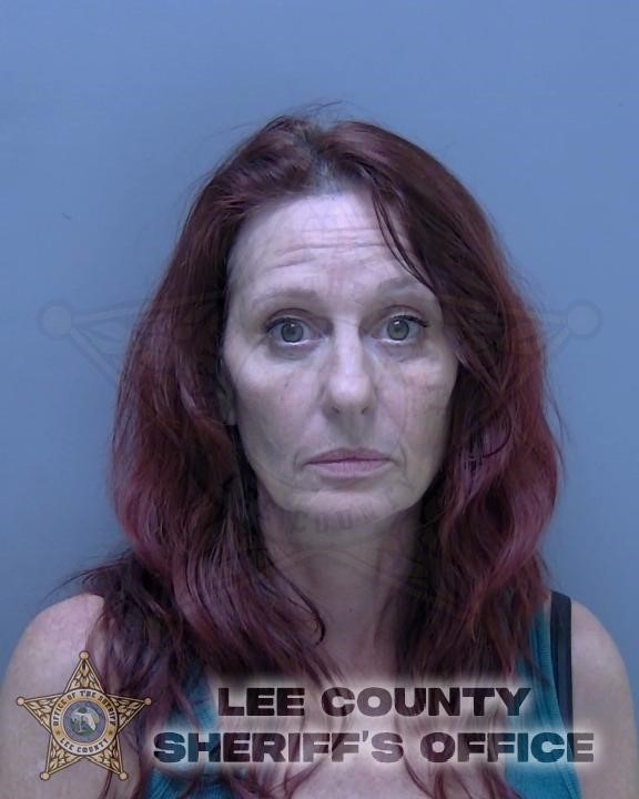 Cape Coral Woman Arrested for DUI Following Serious Traffic Crash ...